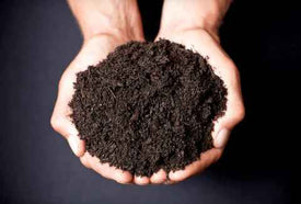 Allen's Landscape Supply Depot – Allen's Landscape Supply Depot